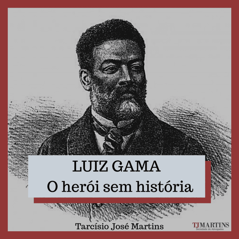 LUIZ GAMA – O herói sem história – TJ Martins Advogados